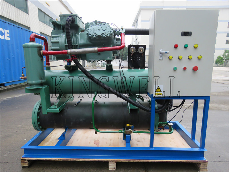 Energy Saving Salt Water Ice Block Machine 1000kg For Small Ice Plant