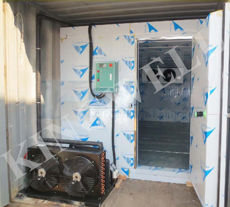 Commercial Container Cold Storage Room Minus 50 Degree Blast Freezer